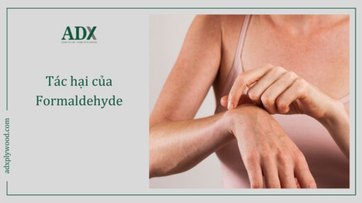 Tiêu Chuẩn Phát Thải Formaldehyde - E0, E1, E2