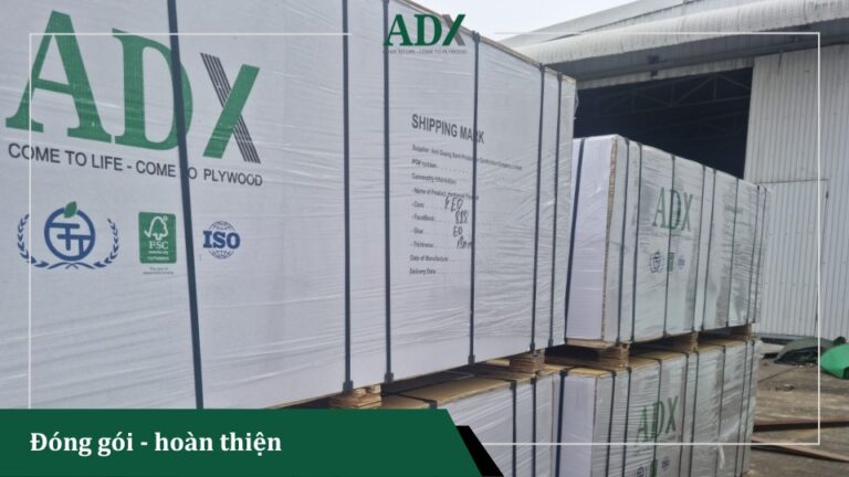 Quy Trình Sản Xuất Ván Plywood Tại Nhà Máy ADX