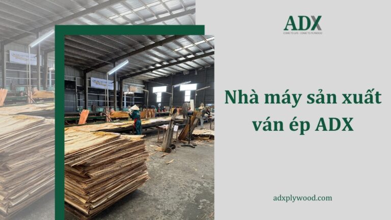 Các Chứng Chỉ Ván ép Tại ADX Plywood