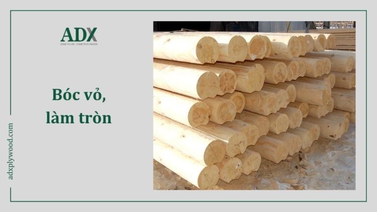 Quy Trình Sản Xuất Ván Bóc Và Phương Pháp Bảo Quản