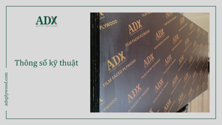 Chi Tiết Kích Thước Ván ép Phủ Phim | ADX Plywood
