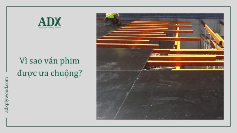 Chi Tiết Kích Thước Ván ép Phủ Phim | ADX Plywood