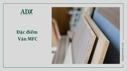 Ván MFC: Tất Tần Tật Những Thông Tin Cần Biết