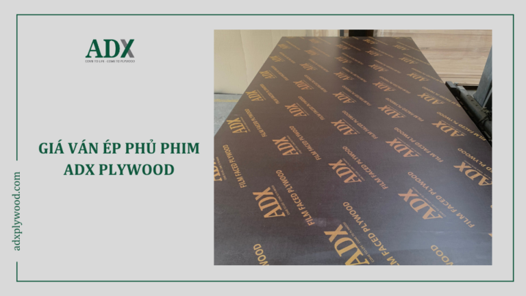 Tiêu Chuẩn Và Kích Thước Ván Phủ Phim ADX Plywood