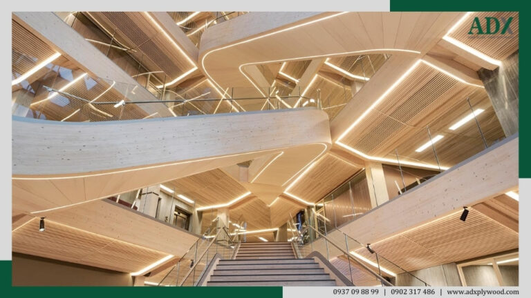 Top 5 Remarkable Plywood Architectural Projects