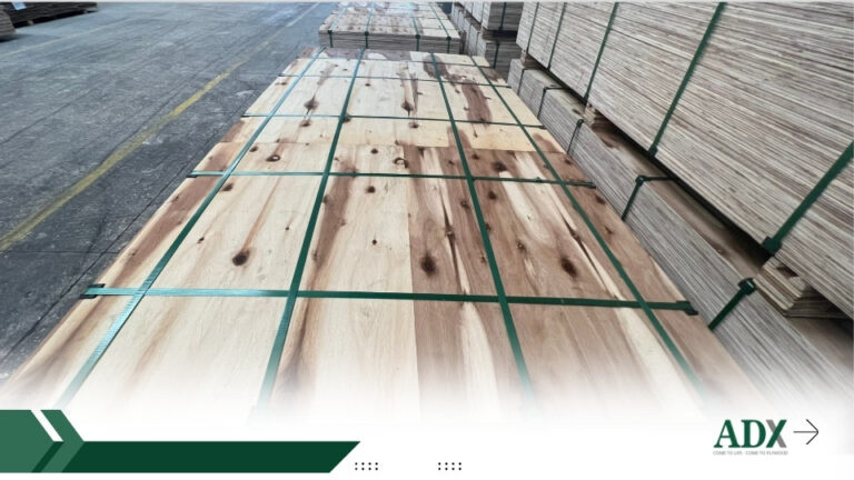 Ván ép Sofa ADX Plywood - Giải Pháp Tối ưu Ngành Nội Thất